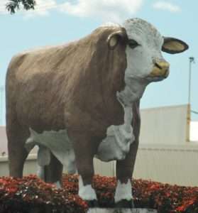 Cattle Country: Beef City Bovine Statues | The Travel Tart Blog